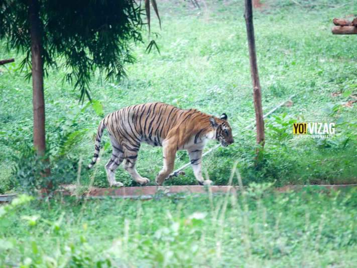 5 activities in Visakhapatnam to help you engage your guests