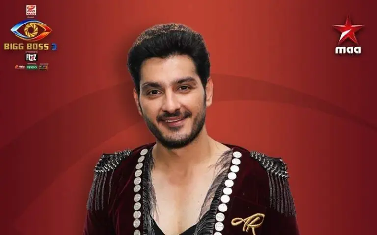 Telugu Bigg Boss 3 Contestants Information:Here's what you need to know