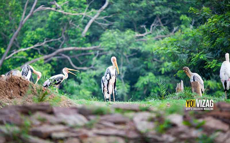 14 tourist places in Vizag that no one should miss visiting