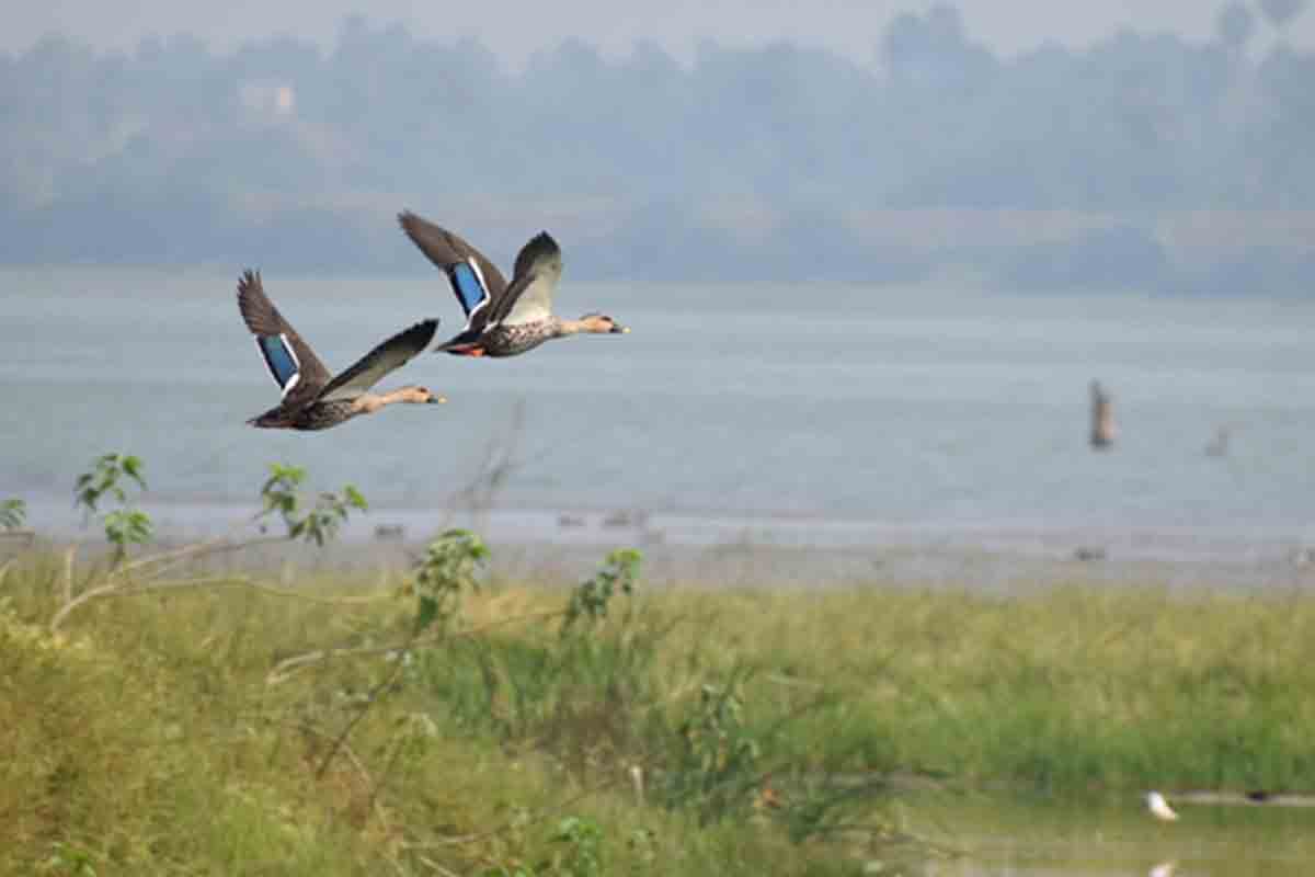 4 things you need to know about Vizag's Meghadri Gedda reservoir