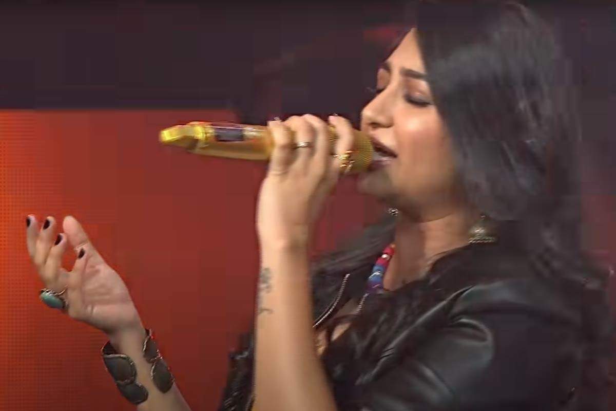 Successful Singers who never won the title of Indian Idol