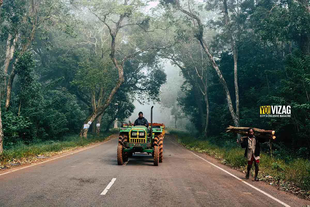 From Maredumilli to Vanjangi: 6 must-visit hill stations in Andhra Pradesh