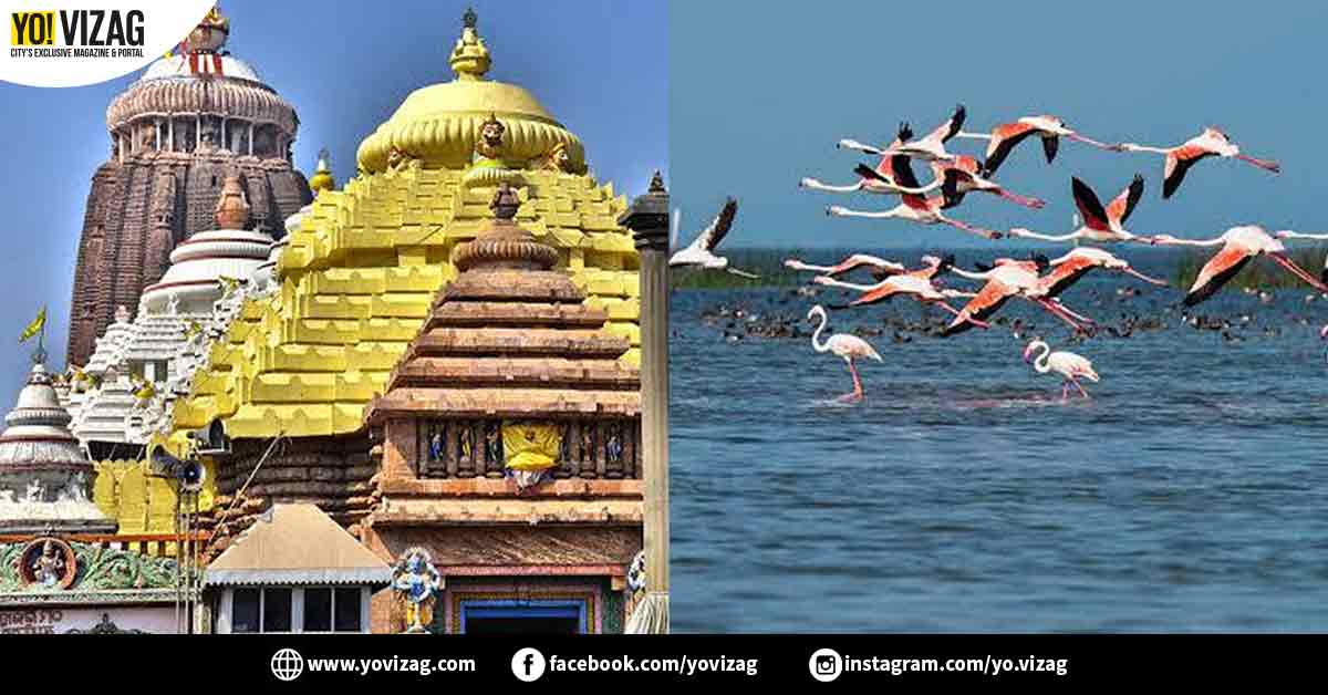 5 Must-visit places in Puri to have a splendid trip