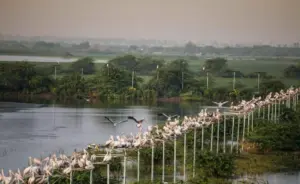 Must visit lakes in Andhra Pradesh that will take your breath away