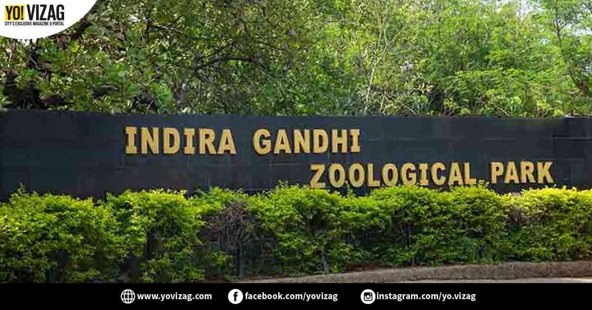 IGZP Vizag to receive 50 new animals from Aizwal Zoo in Mizoram