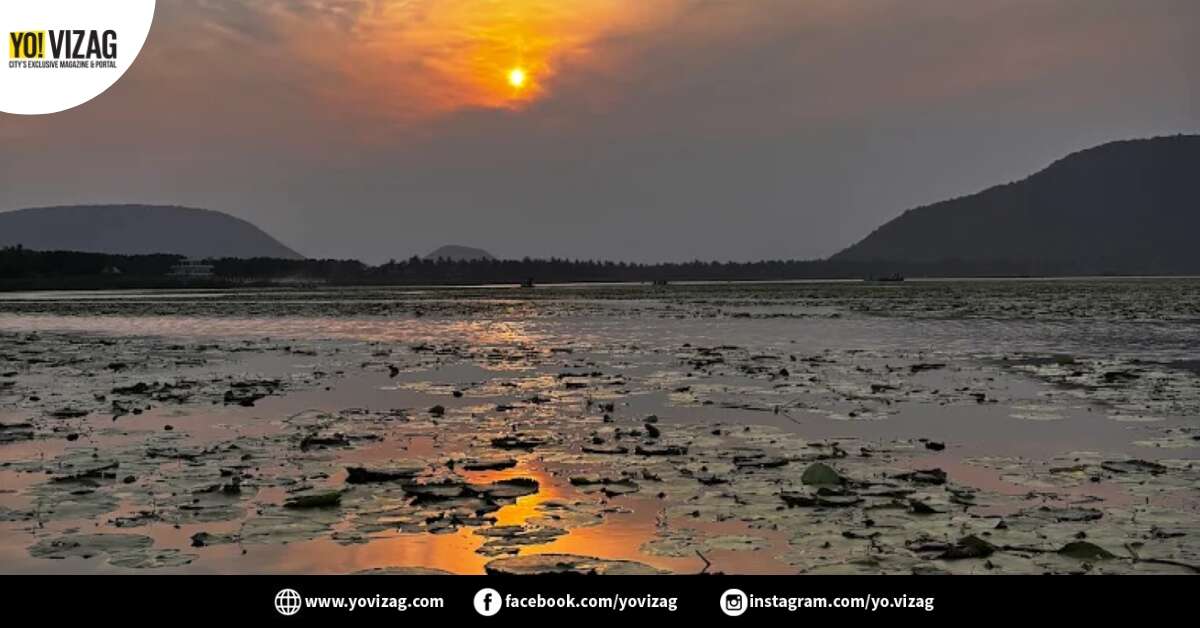 Visakhapatnam: Kondakarla Ava to be AP's first ever conservation reserve