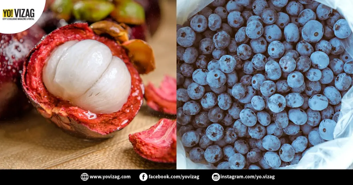 Exotic Fruits in Vizag You Must Try for a Refreshing Twist!