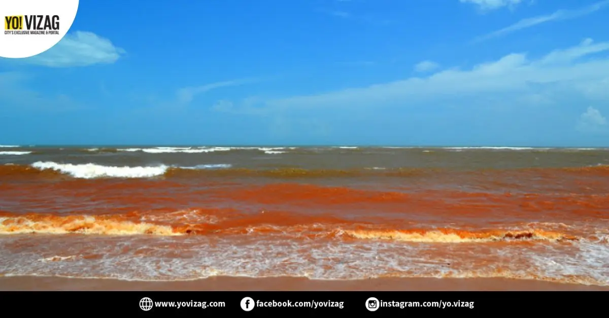 Vizag beach's water and shore turn red, cause, impact explained